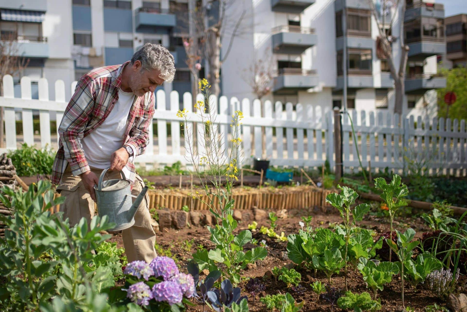 Créer un potager en ville : c’est possible, et voici comment faire ...