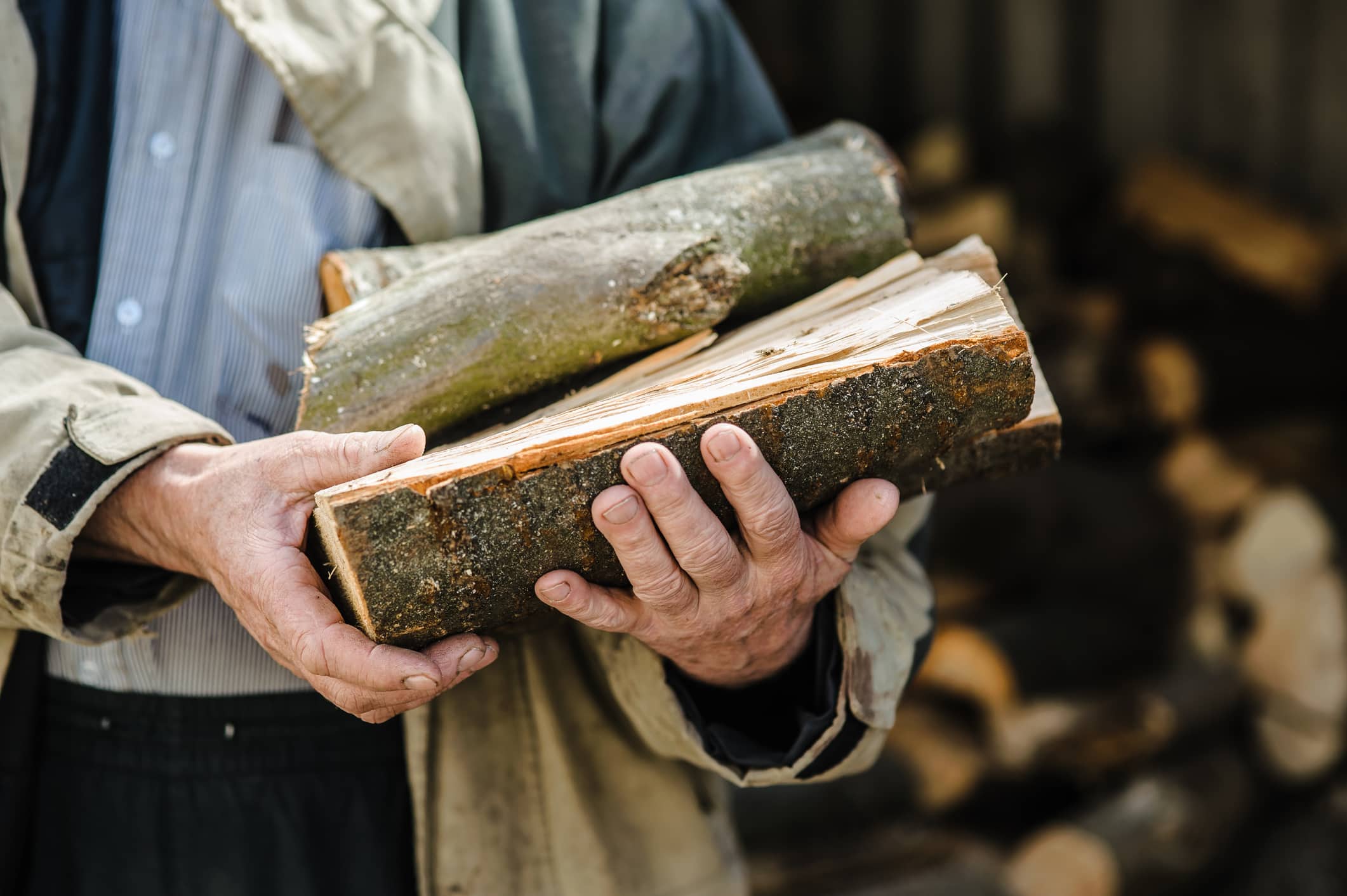 Derrière ce bois très populaire en France, un vrai risque pour votre ...
